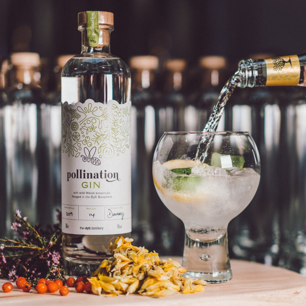 Pollination Dovey Native Botanical Gin PGI – Dyfi Distillery